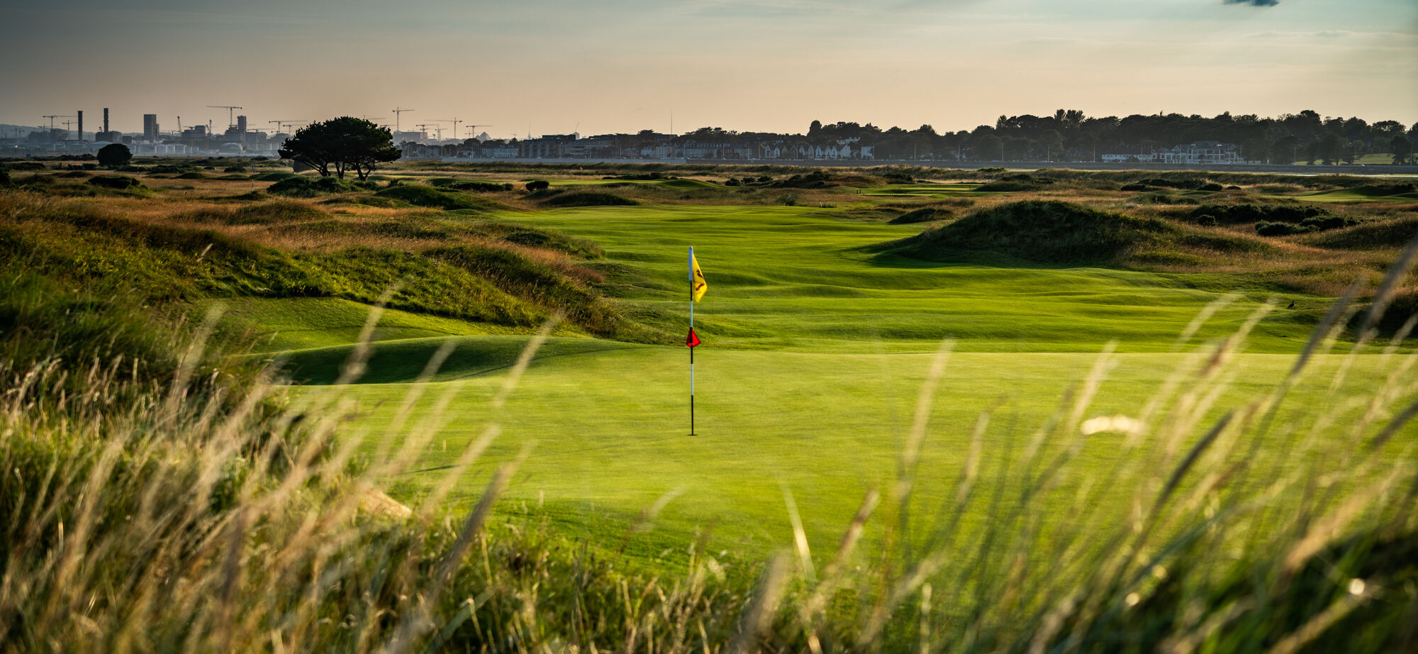 8 :: Royal Dublin Golf Club